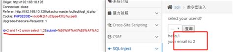 Pikachu系列之sql注入（sql Inject）sql注入url栏为什么要加注释 Csdn博客