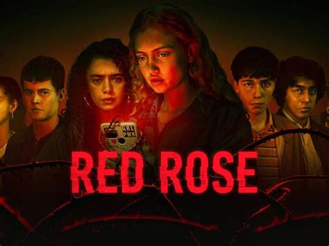 Amazing Collection Of Full 4k Red Rose Images Over 999 Exquisite Options