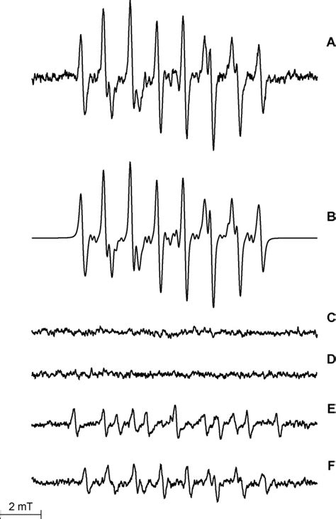 Spin Trapping Of Superoxide In The Cs Of A Cm −f Cigarette In 20 Mm Download Scientific Diagram