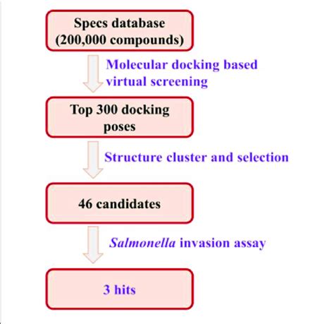 The Workflow Of The Virtual Screening Download Scientific Diagram