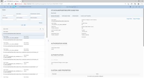 Create Users In HANA DB Sap Security Pages Create Users In HANA DB Sap Security Pages