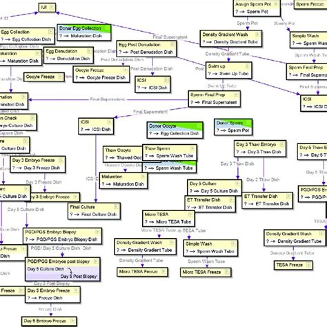 Elaborate Workflow Chart As All Defined In Vitro Fertilization