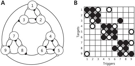 Nine Neuron Network To Generate Synthetic Neural Spike Trains A Each Download Scientific