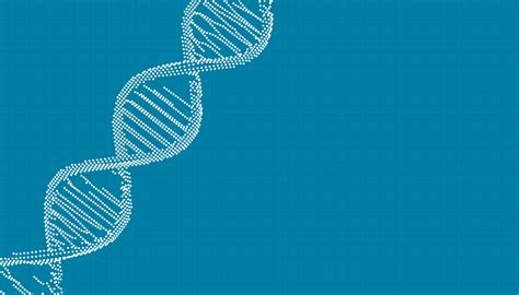 Lesson 4 The Biology Of Skin Color Stem Next