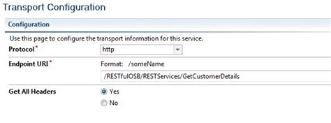 Random Cerebrations On Soa Restful Services Osb Transport Headers