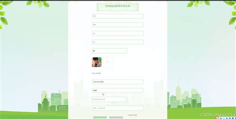 （开题）flask框架宠物医院管理系统（程序论文python） Csdn博客