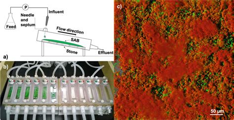 2 Panel A Is The Schematic Representation Of The Modified Drip Flow
