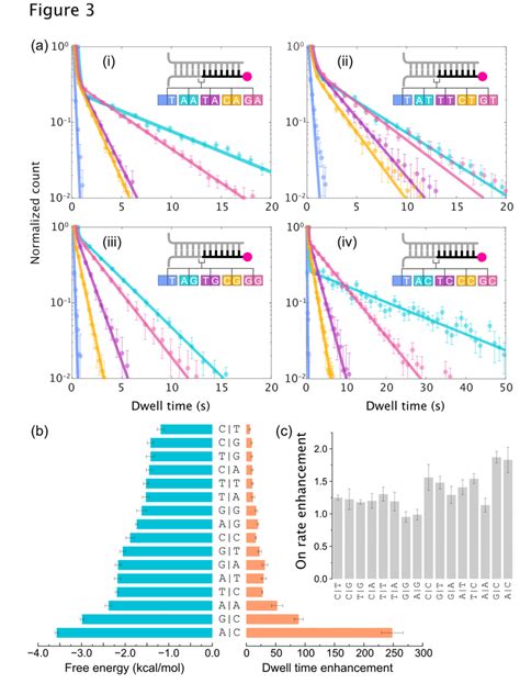 Imaging Base Stacking Interactions Of All 16 Possible Dinucleotide