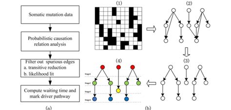 Overview Of PGM A The Workflow Of The Stepwise Study B In The Download Scientific Diagram