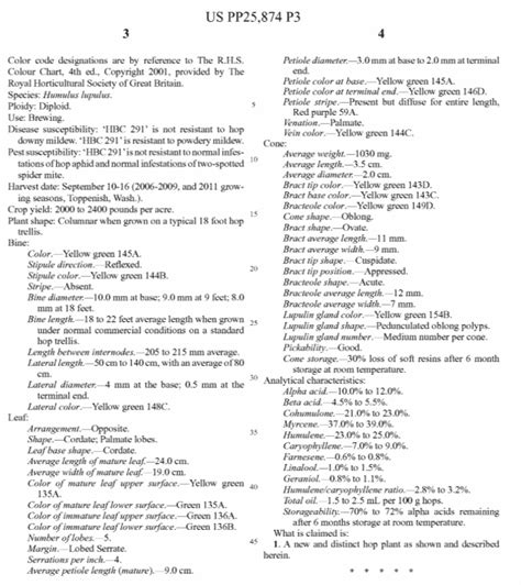 What Are The Different Types Of Patents Bold Patents Law Firm