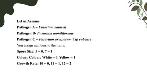Numerical Taxonomy Of Fungi And Bacteria Pptx Pptx