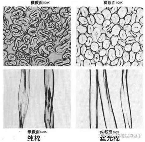 繁花中火烧丝光棉真的不怕火烧 知乎