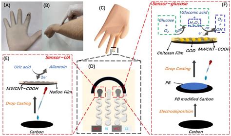 Article Mdpi Wearable Electrochemical Glucose Biosensors Sensors