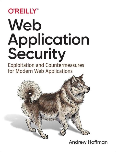 Web Application Security Exploitation And Countermeasures For Modern