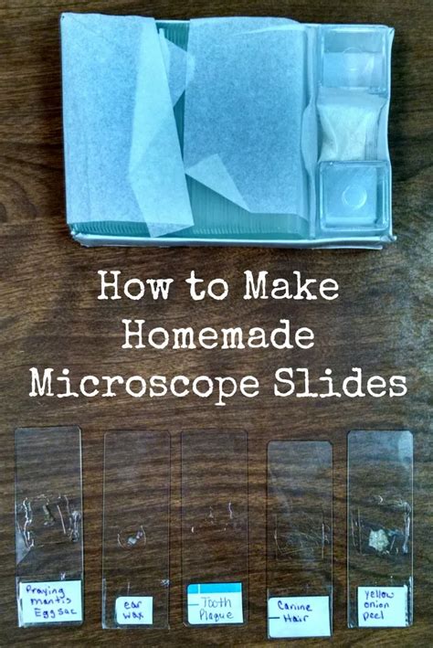 How To Make Homemade Microscope Slides Artofit
