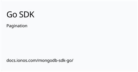 Pagination Go Sdk