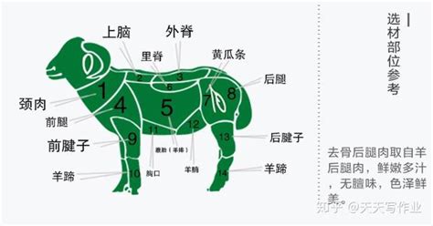 网上买生鲜哪里更靠谱？京东之羊肉篇（内附宁夏滩羊、蒙羊等好品牌 11月4日：生鲜399 200元） 知乎