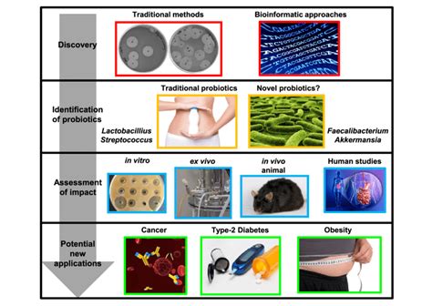 Bacteriocins From Discovery To Potential Probiotic Application