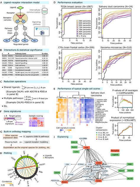 Bulksignalr Overview A Model Of A Lri With A Pathway Downstream The Download Scientific