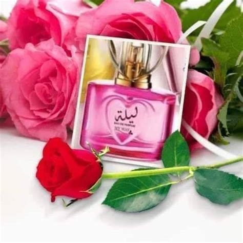 كتالوج ماى واى وشركة ماى واى مصر My Way برفان ليلة بشكلها الجديد 🥳