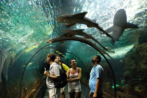 Лоро-парк. Испания по-русски - все о жизни в Испании