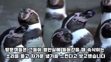 공포☞도시괴담 곤지암 정신병원 이야기 Youtube