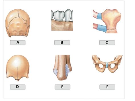 API Lab Ch 7 PPT Q S Flashcards Quizlet