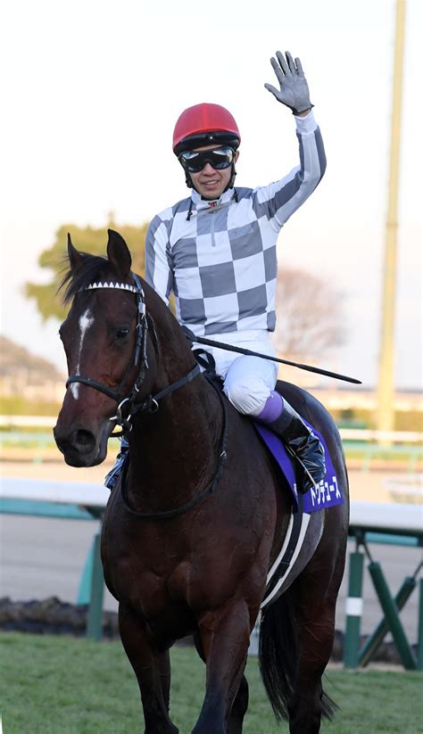 武豊と有馬記念復活vドウデュースのレーティングは自己最高の124ポンド！jra発表 競馬写真ニュース 日刊スポーツ