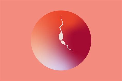 Lets Talk About Sex — Points Clinic Acupuncture Huddersfield