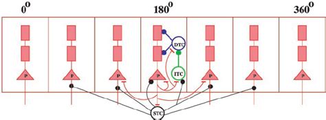 Schematic Architecture Of The Biophysically Based Cortical Network