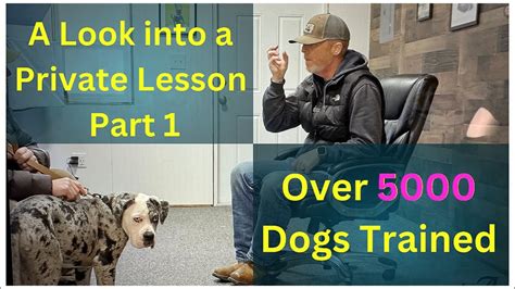 Part 1 Intro To The Walk Command Youtube