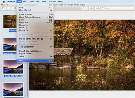 How To Combine Multiple Images Into One PDF On Mac Preview Incl