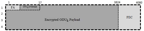 the structure of the otn 10 100 gb s frame with encrypted odu