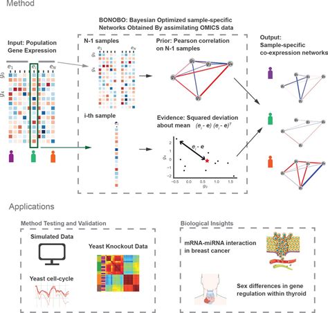 Bayesian Optimized Sample Specific Networks Obtained By Omics Data Bonobo Biorxiv