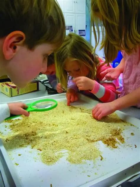 Animate And Inanimate Objects Are The Rule How To Tell If An Object Is