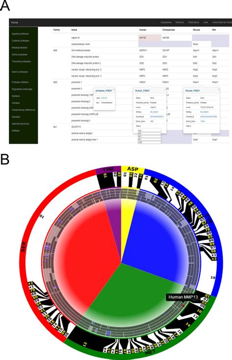 New Features Of The Degradome Database A Individual Annotations Of Download Scientific