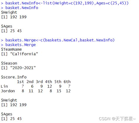 R语言 列表r语言列表 Csdn博客