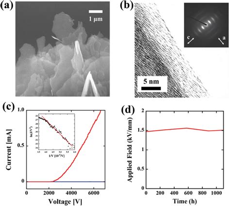 A Sem Image Of The Microstructure Of The Gn Cold Cathode B Hr‐tem Download Scientific