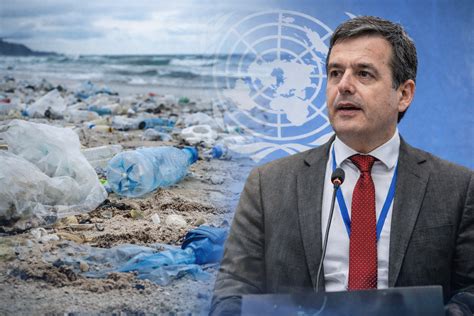 La Onu Avanza En Negociaciones De Tratado Global Para Combatir La