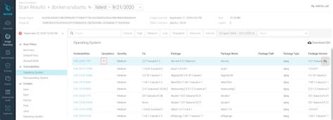 manage vulnerability exceptions and global lists sysdig docs