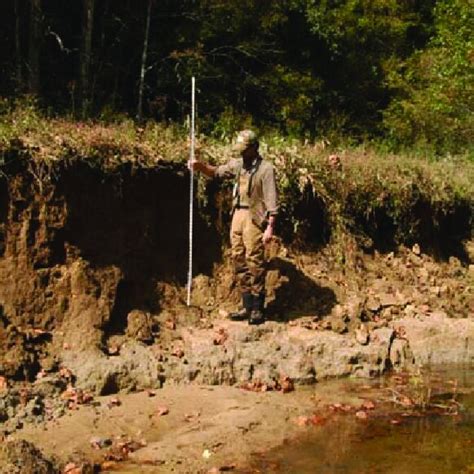 Brown Historic Fine Grained Sediment Overlays Historic Wetland Sediment Download Scientific