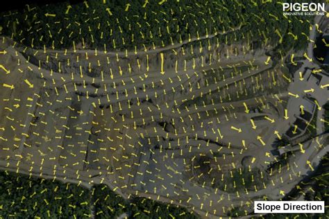 Uav Data Processing Services In India Drone Data Processing Software