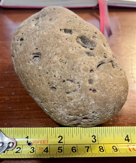 Found On Lake Michigan Beach R Fossilid