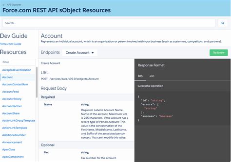 Documentation Using Salesforce API Explorer For Documenting Apex REST Services Salesforce