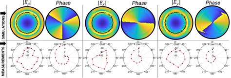 Numerical Simulation Confirming The Synthesis Of The Vector Vortex