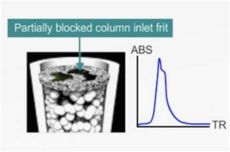 Hplc Column Abuse Chromacademy