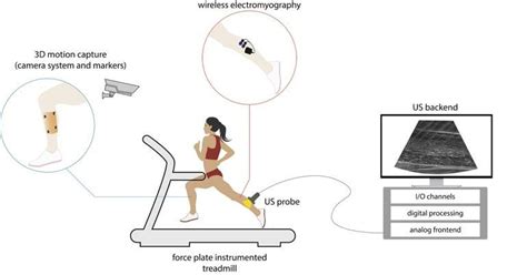Locomotion Research Laboratory Setup [17] Download Scientific Diagram