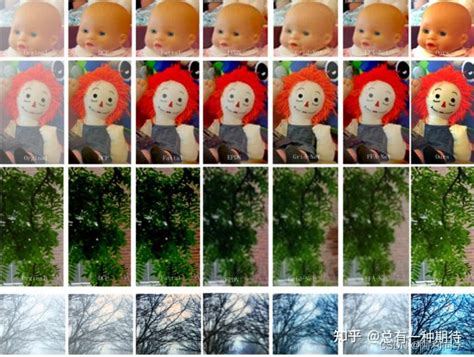 Python Matlab图像去雾 去雨综述 知乎