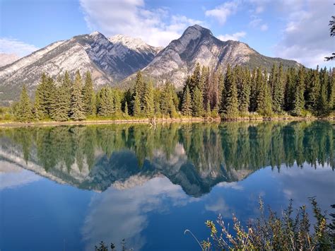 Marsh Loop Trailhead 1 Reviews By Local Experts