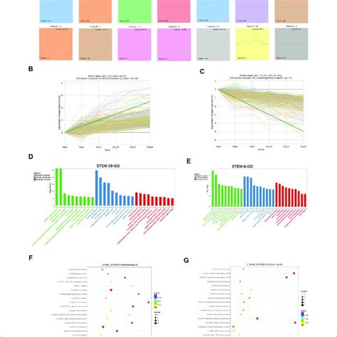 Expression Of Autophagy Related Genes In Rna Seq At Different Stages Download Scientific